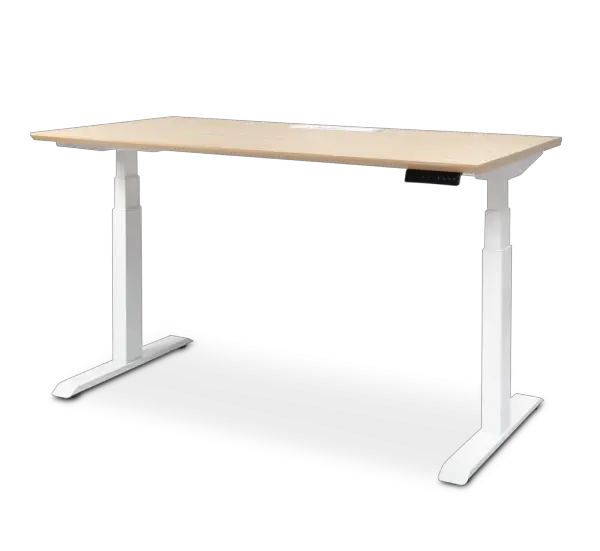 Ergonomic Desks | Ergo Desks